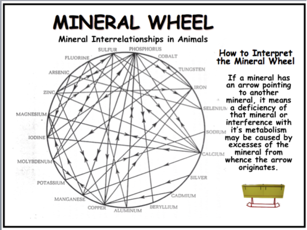Correcting Mineral Imbalances with Magic Wand and Neutral Pendulum ...